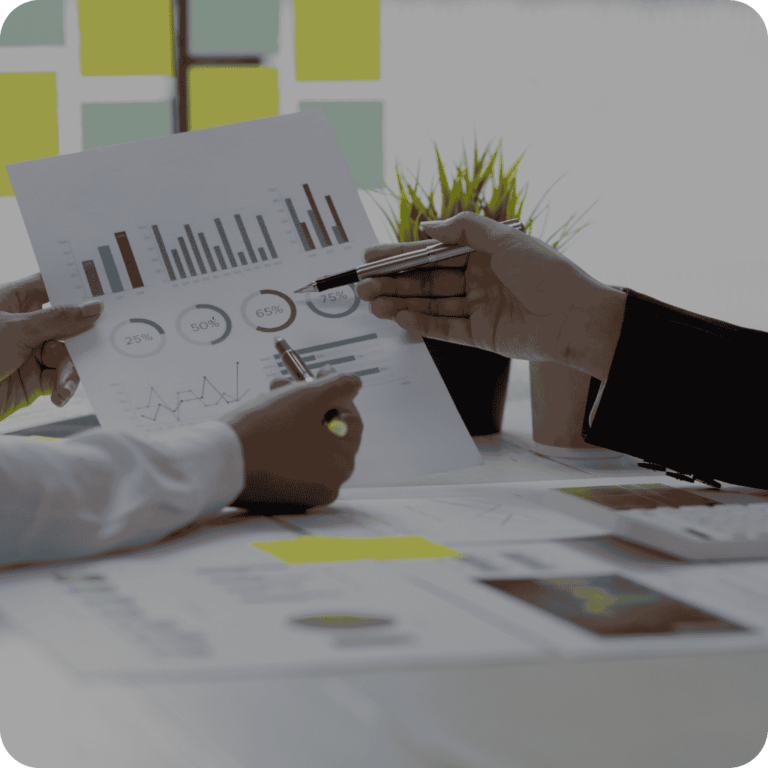 Security Consultancy Services- DSP Consultants